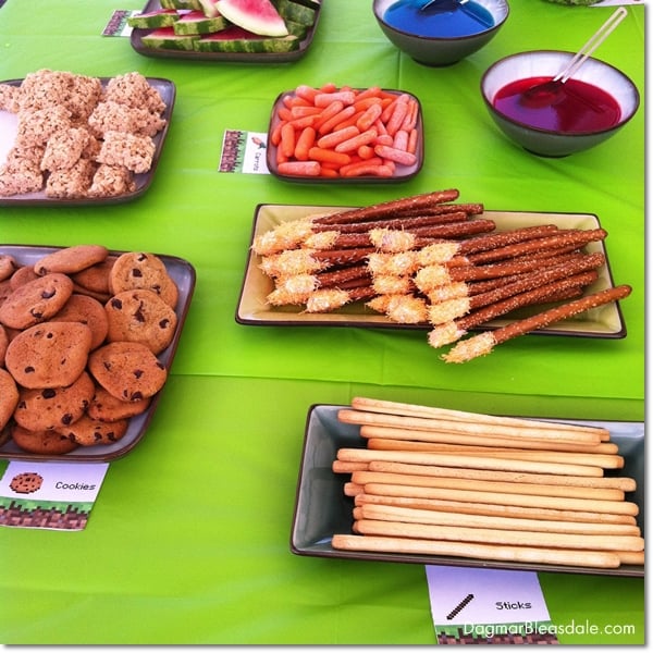 Easy DIY Minecraft Birthday Party Ideas