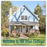 Blue Cottage Decor: Our Porch and Yard