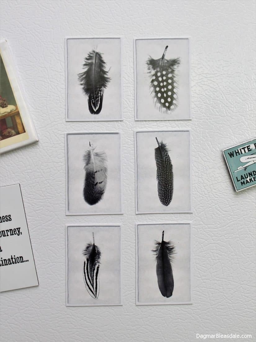 Make DIY Fridge Magnets With Junk Mail or Postcards - Dagmar Bleasdale